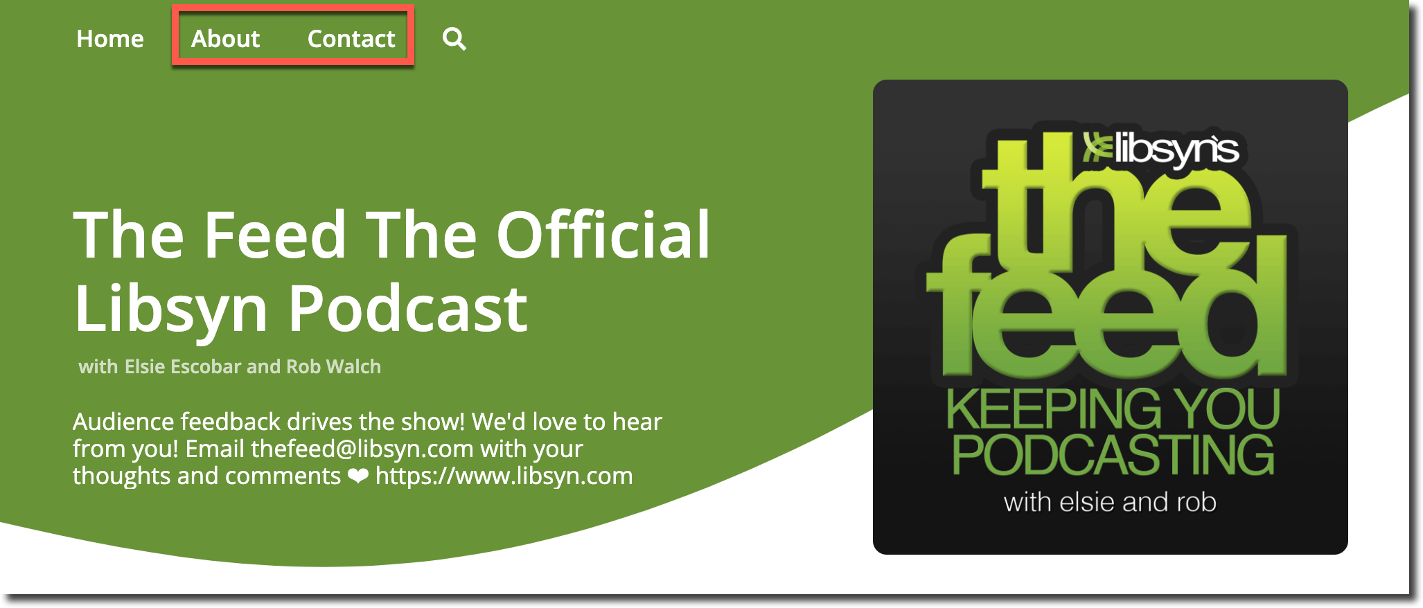 Set Up Your Libsyn Podcast Website – Libsyn 5